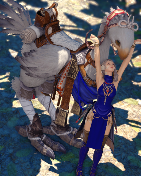 Light's Companion | Eorzea Collection