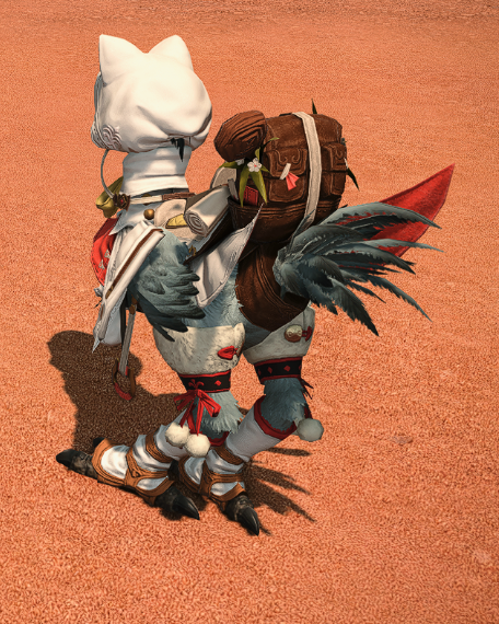 Felicitous Cutie | Eorzea Collection