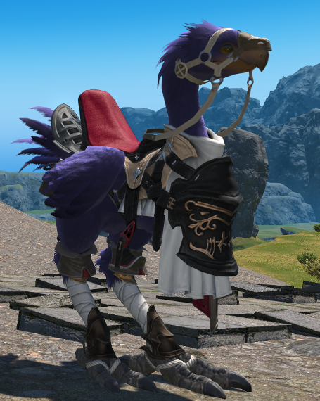 Casual Kweh | Eorzea Collection