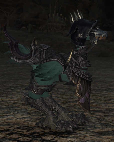 Darkness Devout | Eorzea Collection