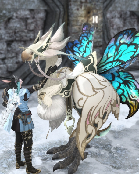 Seer of the Moon | Eorzea Collection