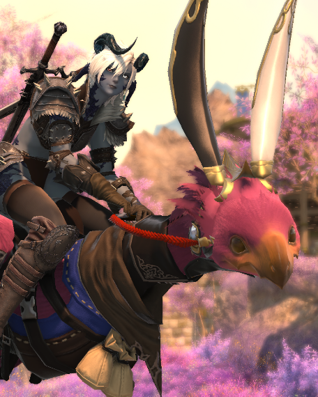 I'm A Viera Right? | Eorzea Collection