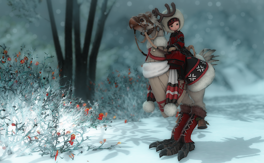 Winter | Eorzea Collection