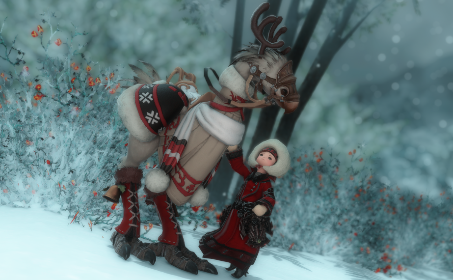 Winter | Eorzea Collection